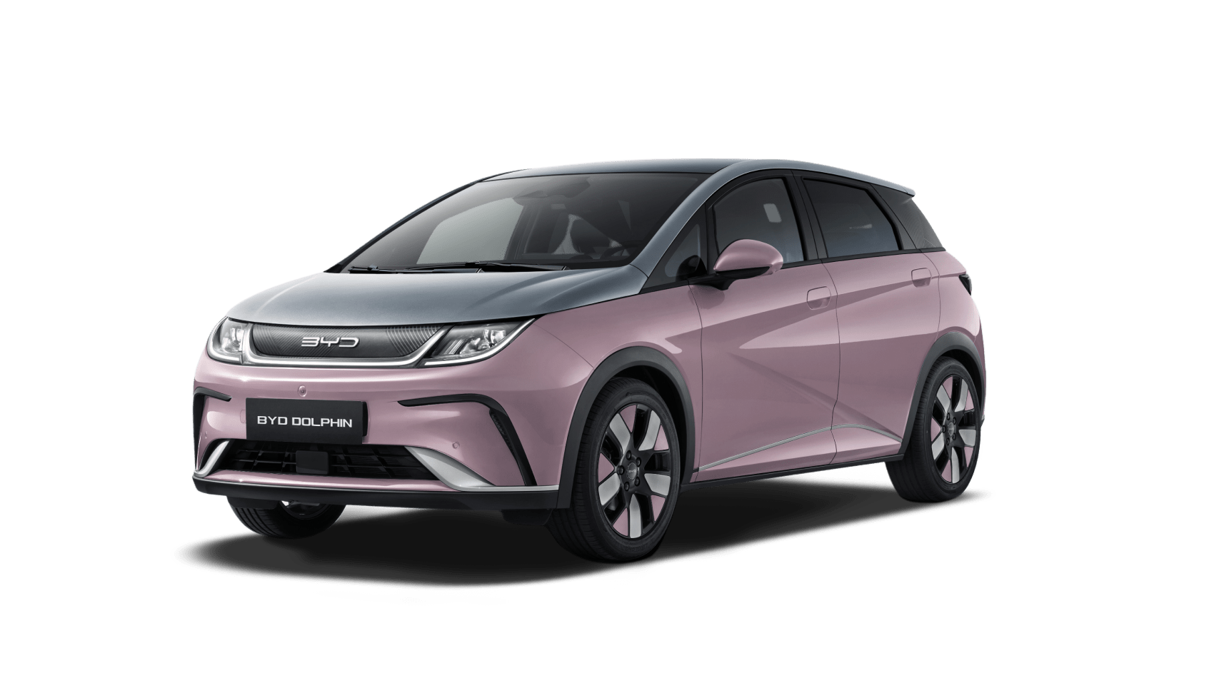 BYD DOLPHIN רכב האצ'בק חשמלי